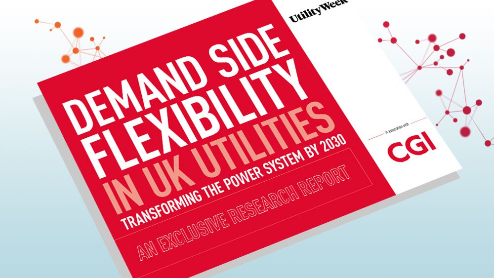 Demand Side Flexibility in the UK Utilities | CGI UK