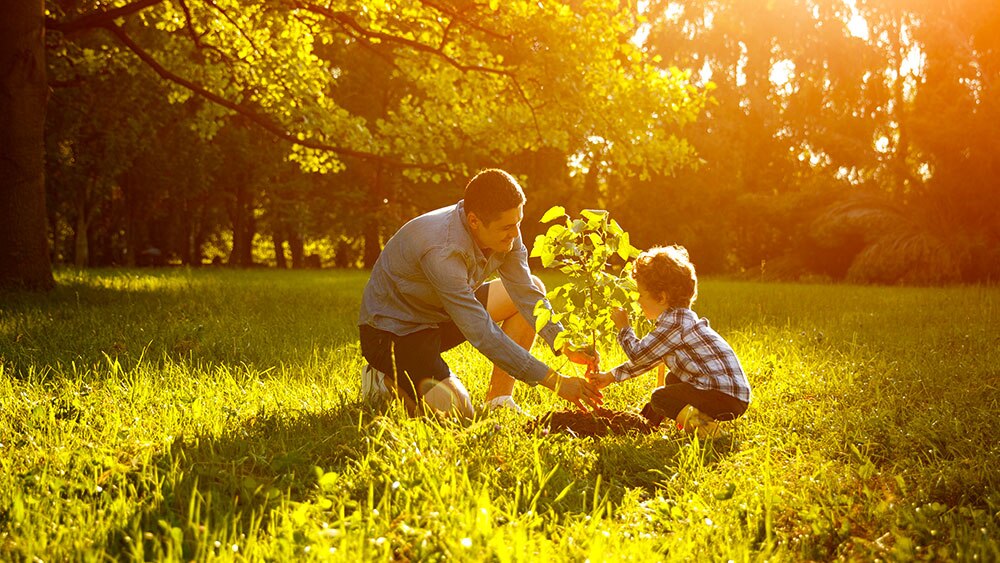 CGI UK kick starts National Tree Week 2020 with plans to plant 2000 ...