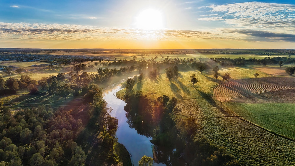 Environment and Agriculture