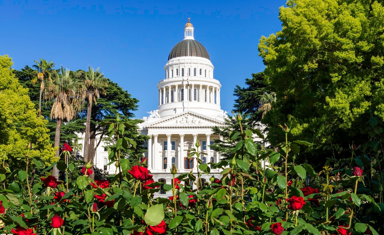 California Department of Child Support Services improves service delivery with CGI’s innovative ...