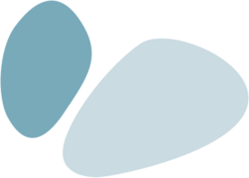 CGI Vesa - varhaiskasvatuksen toiminnanohjaus | CGI FI