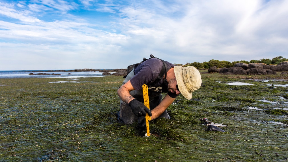 Four keys for environmental regulatory collaboration | CGI Federal