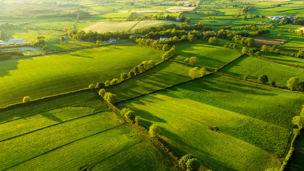 Environment and agriculture | CGI UK