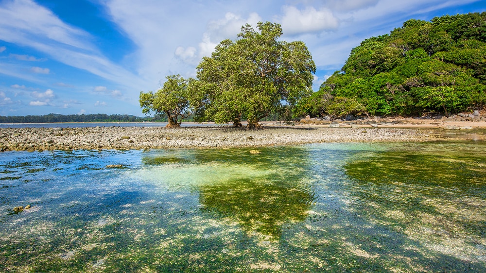 EPA modernizes portfolio, moves 160+ applications and services to the ...