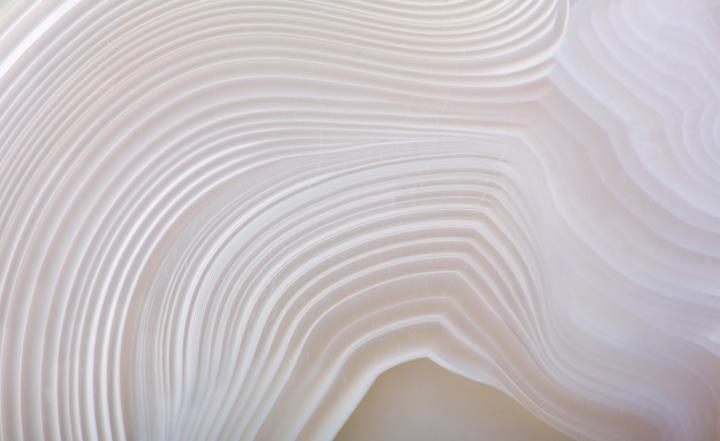 La IA, aliada estratégica de la ciberseguridad | CGI Espana