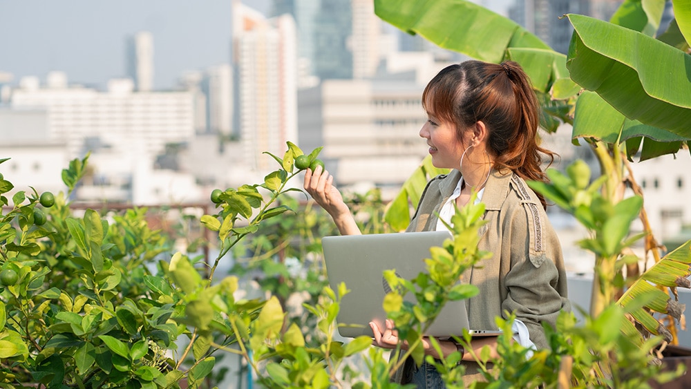 CGI to advance environmental regulatory mission, modernize systems ...