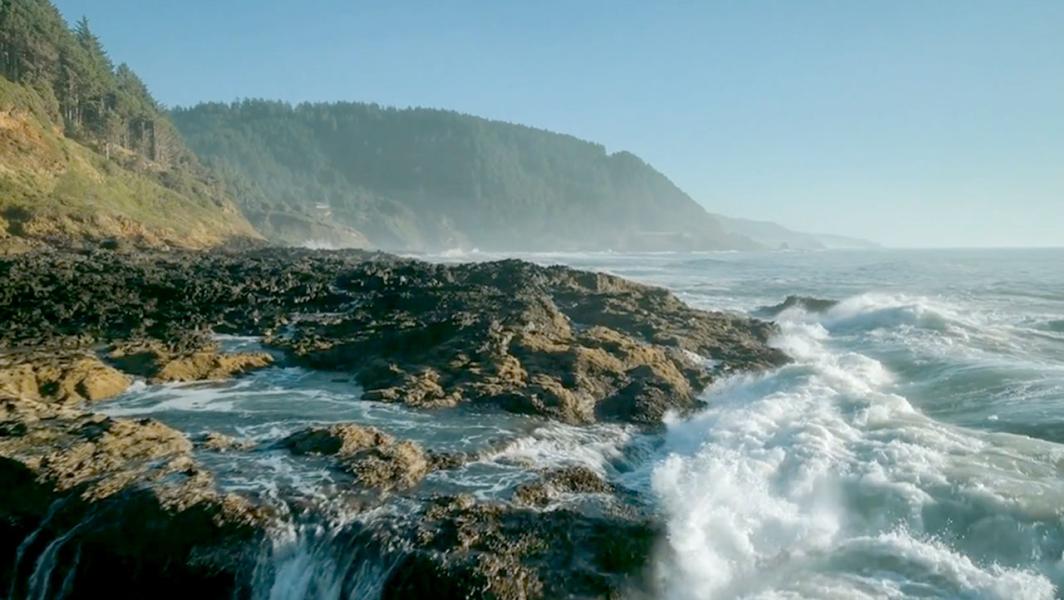 The Seabin Project : cleaner oceans for a brighter future | CGI Australia