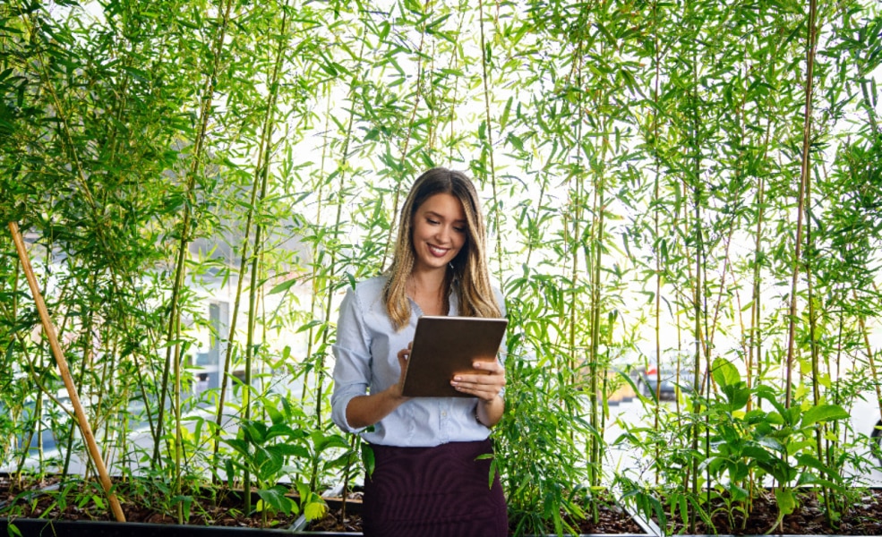 Livre blanc - RSE et numérique responsable | CGI FR