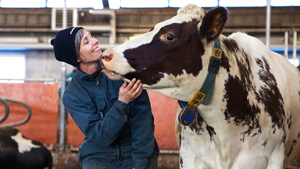 CGI levererar avancerat bildsystem, inklusive toppmodern röntgenteknik, till Sveriges ...