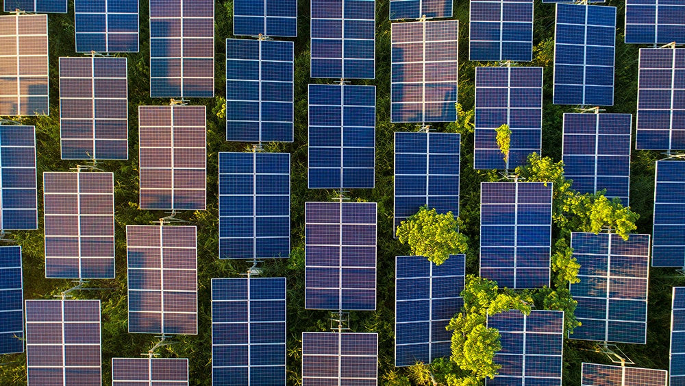 CGI UK Environment Report 2022 | CGI UK