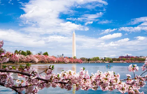 Media center | CGI United States