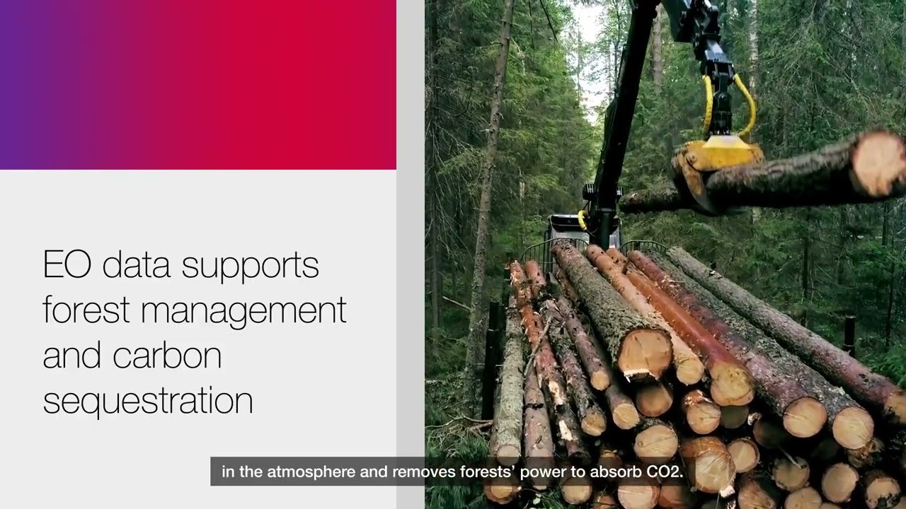 How space-based technology and data advance sustainability | CGI.com