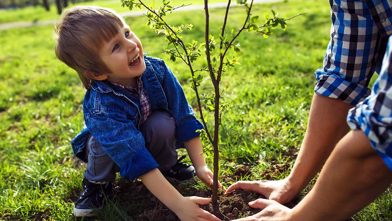 CGI in Northern Ireland | CGI UK